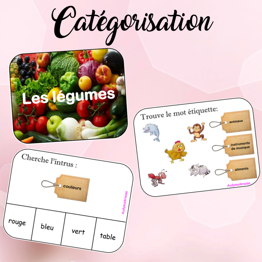 Catégorisation – Les mots étiquettes - Audymaikresse